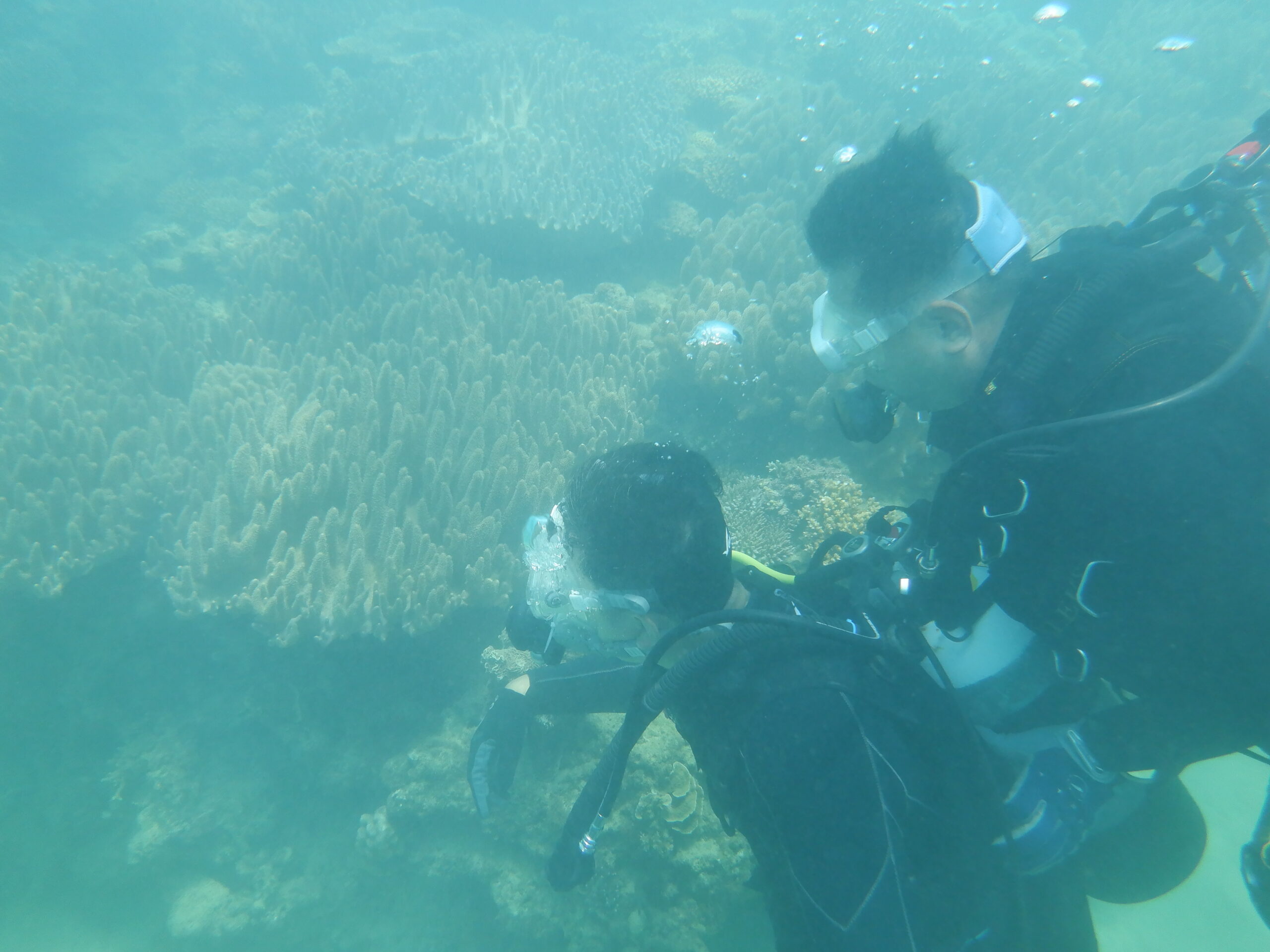 DSCF0784 – NPO法人 オーシャンゲート ジャパン